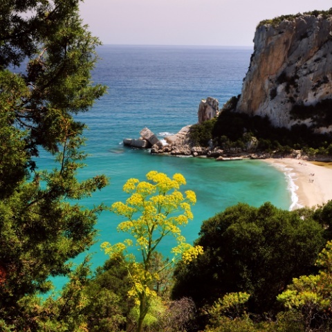 Szardínia - Mediterrán édenkert - vista.hu