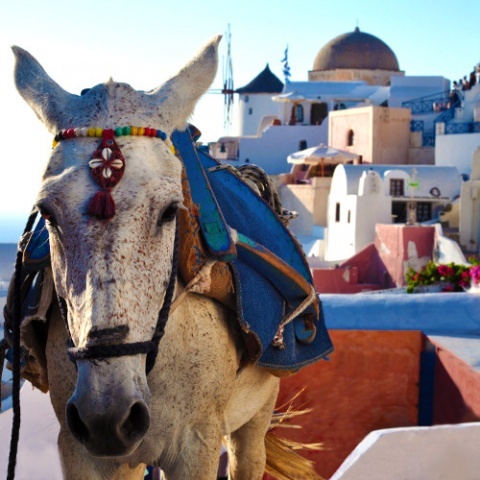 Néhány felületes magállapítás a görögökről - vista.hu